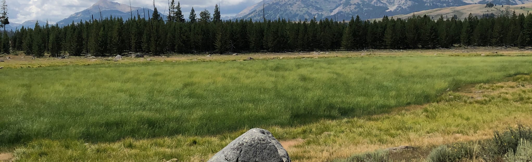 Bunsen Peak Loop: 214 Reviews, Map - Montana | AllTrails