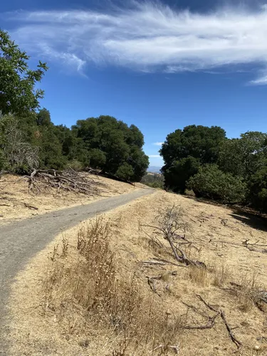 10 Best Easy Trails in San Ramon | AllTrails