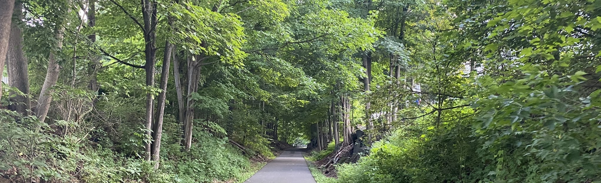 Mascoma River Greenway: 127 Reviews, Map - New Hampshire | AllTrails