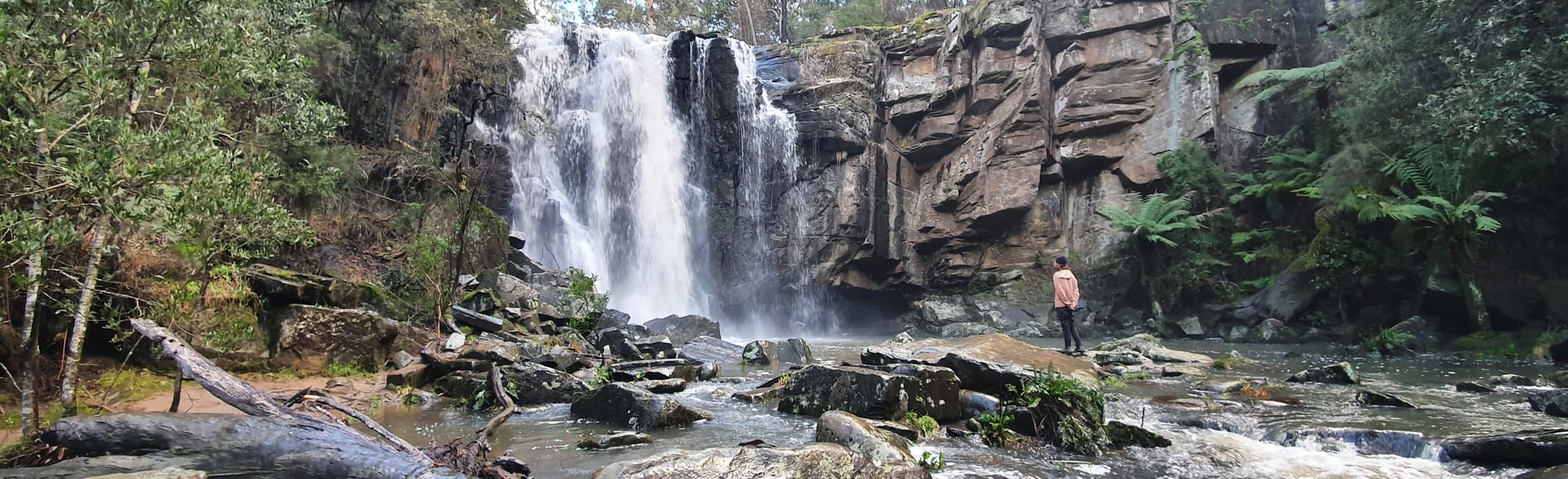 Lorne Waterfalls Loop, Victoria, Australia - 128 Reviews, Map | AllTrails
