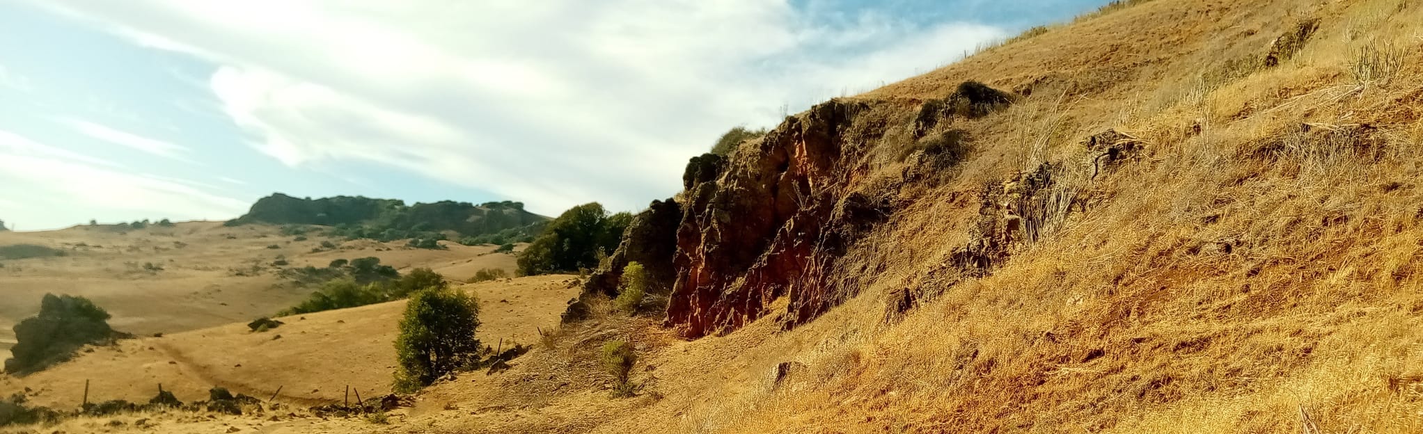 Blue Rock Springs Park Trail, California - 166 Reviews, Map | AllTrails