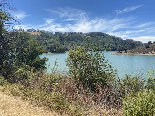 Best 10 Hiking Trails in Lake Chabot Regional Park | AllTrails