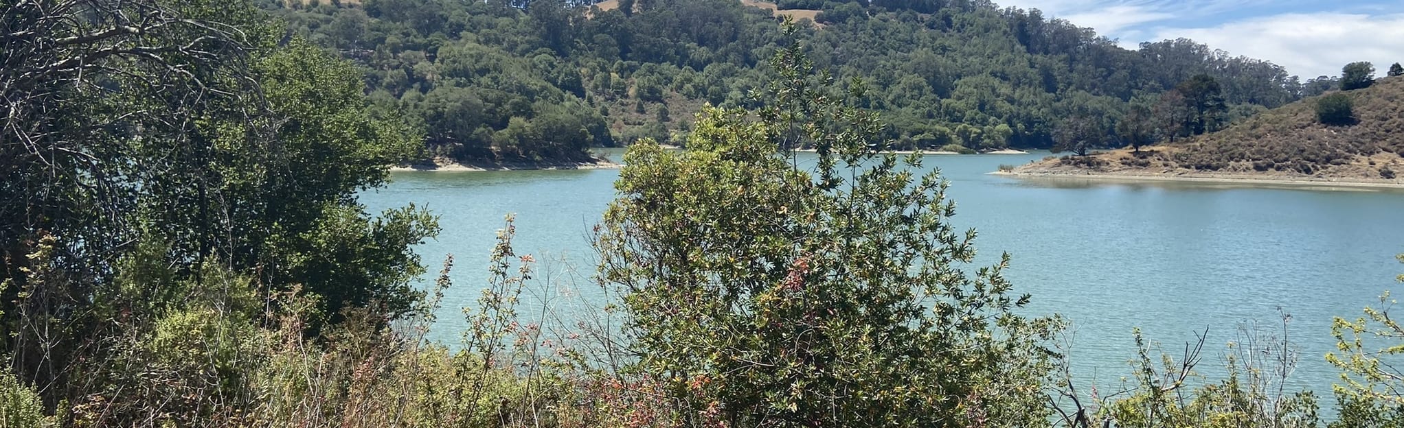 Ten Hills and East Shore Loop, California - 867 Reviews, Map | AllTrails