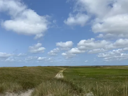 10 Best Beach Trails in Wadden Sea National Park | AllTrails