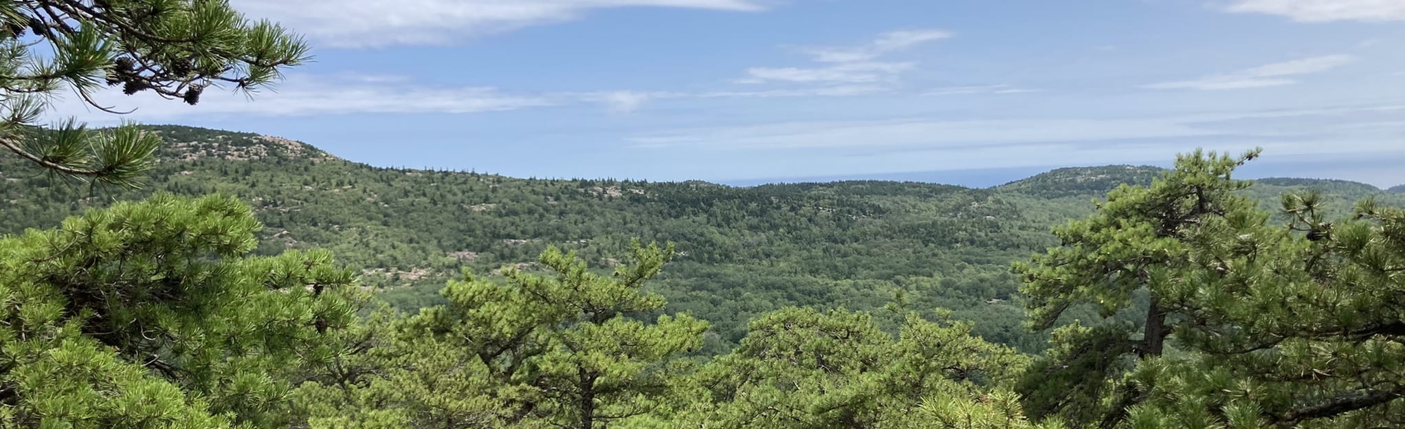 A. Murray Young Path via Canon Brook and Dorr South Ridge Trail, Maine ...