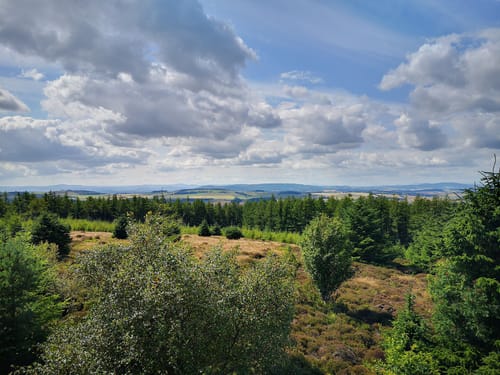 Best 10 Trails and Hikes in Aberdeen | AllTrails