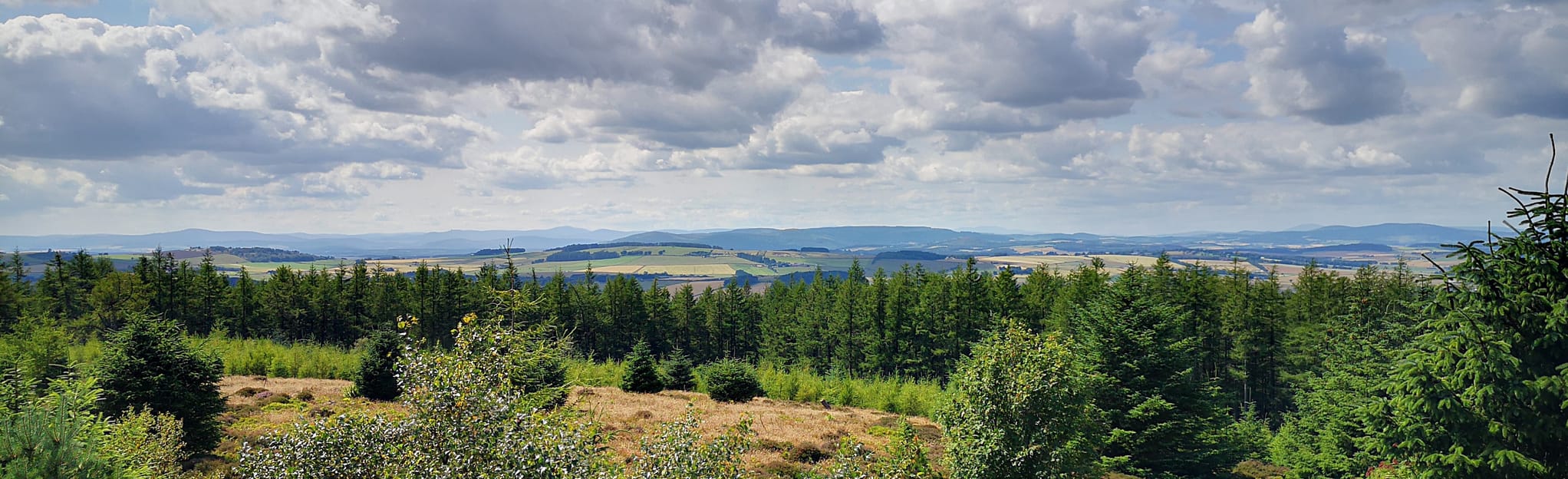 Kirkhill Forest and Tyrebagger Hill Circular: 148 fotos - Aberdeenshire ...