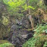 Shady Lane Trail, Washington - 161 Reviews, Map | AllTrails