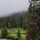 Tincup Pass OHV Route, Colorado - 122 Reviews, Map | AllTrails