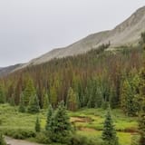 Tincup Pass OHV Route, Colorado - 122 Reviews, Map | AllTrails