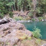 Shady Lane Trail, Washington - 139 Reviews, Map | AllTrails