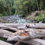 Shady Lane Trail, Washington - 139 Reviews, Map | AllTrails