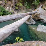 Shady Lane Trail, Washington - 139 Reviews, Map | AllTrails