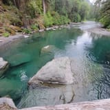 Shady Lane Trail, Washington - 139 Reviews, Map | AllTrails