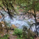 Shady Lane Trail, Washington - 139 Reviews, Map | AllTrails