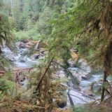 Shady Lane Trail, Washington - 139 Reviews, Map | AllTrails