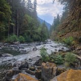 Shady Lane Trail, Washington - 139 Reviews, Map | AllTrails