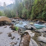 Shady Lane Trail, Washington - 139 Reviews, Map | AllTrails