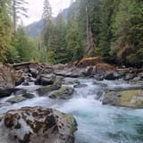 Shady Lane Trail, Washington - 161 Reviews, Map | AllTrails