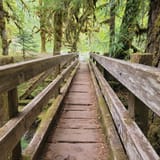 Shady Lane Trail, Washington - 161 Reviews, Map | AllTrails
