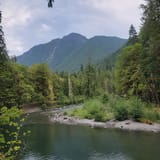 Shady Lane Trail, Washington - 161 Reviews, Map | AllTrails