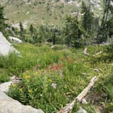 Death Canyon Loop, Wyoming - 111 Reviews, Map | AllTrails