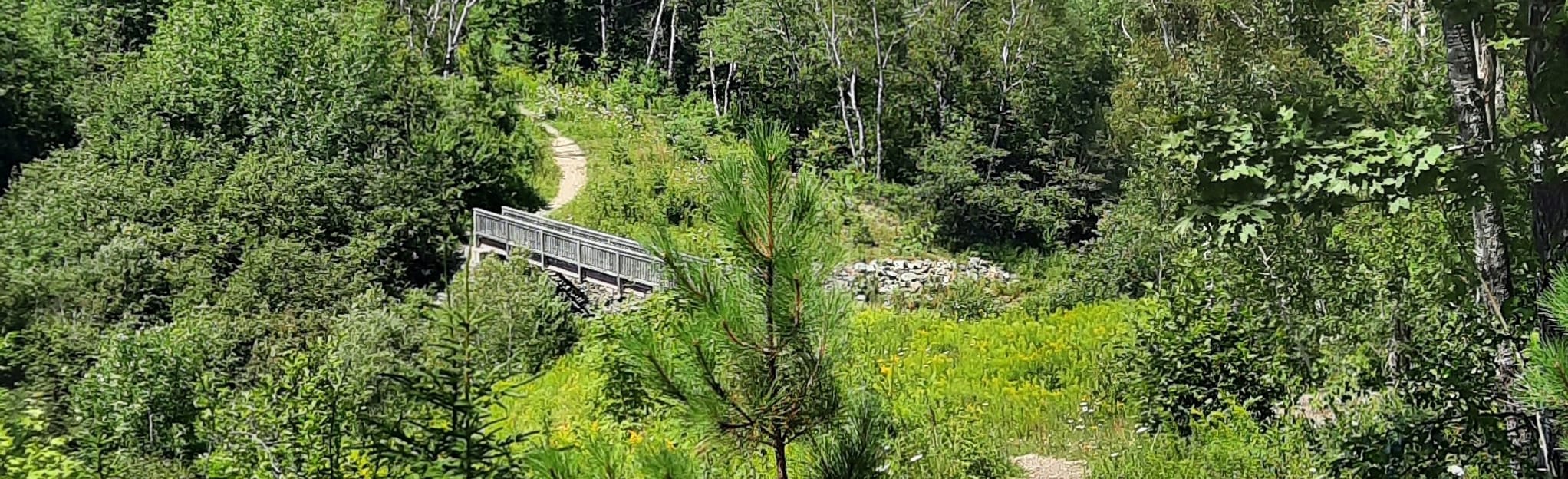 Sentier Stevens Loop, Hamm Loop, New Brunswick, Canada - 84 Reviews ...