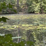 Lake Bistineau, Louisiana - 105 Reviews, Map | AllTrails