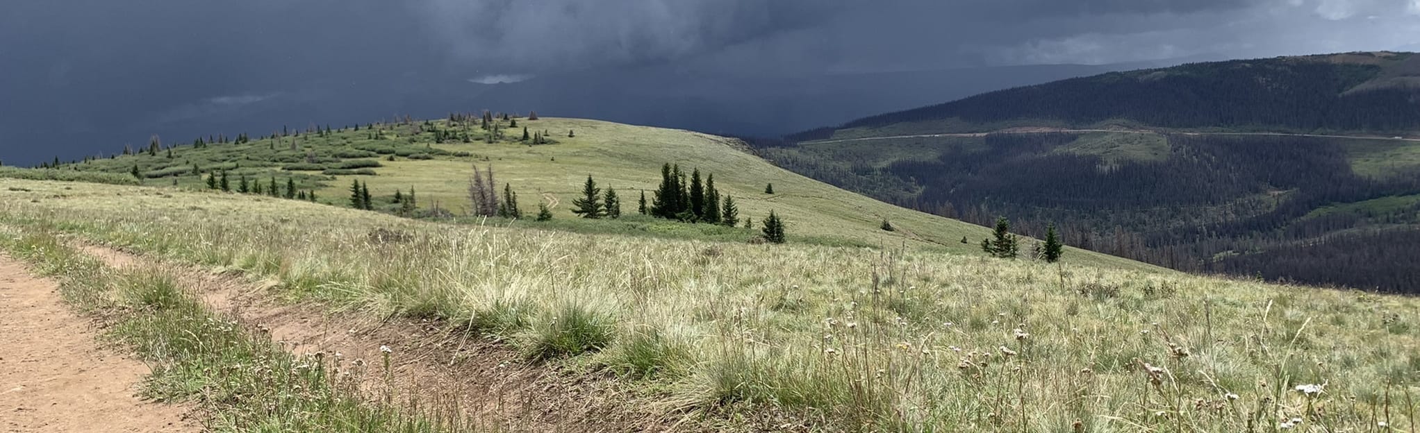 Cannibal Plateau Trail, Colorado - 21 Reviews, Map | AllTrails