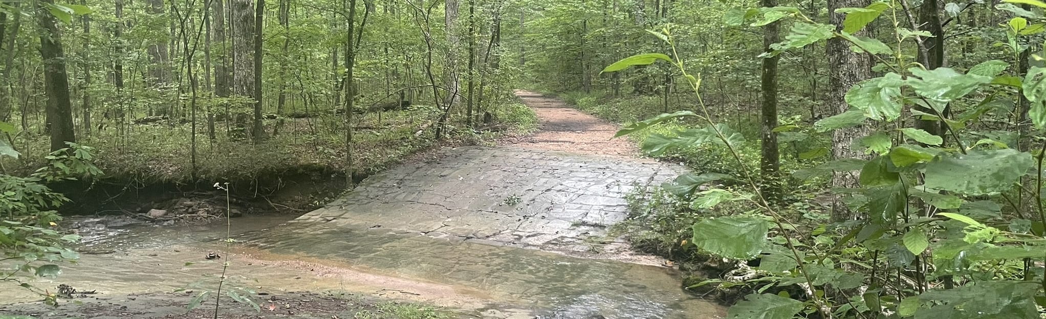 Oak Mountain Blue Trail and Red Road Loop: 143 Reviews, Map - Alabama ...