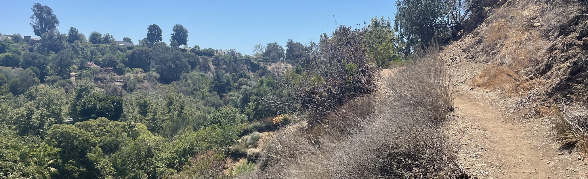 Rustic Canyon Waterfall via Will Rogers Trail - California | AllTrails