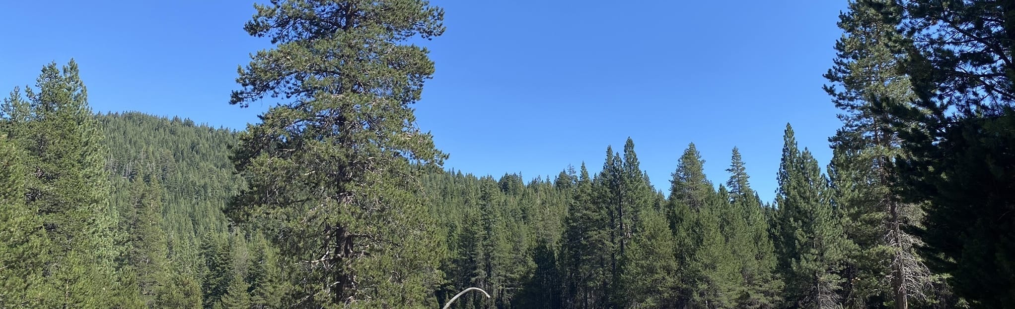 Prosser Creek, Powerline Spur, and Tom's Trail Loop: 28 Reviews, Map ...