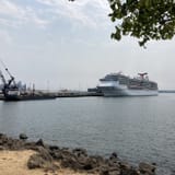 Seattle Waterfront Pathway, Washington - 719 Reviews, Map | AllTrails