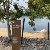 Seattle Waterfront Pathway, Washington - 719 Reviews, Map | AllTrails