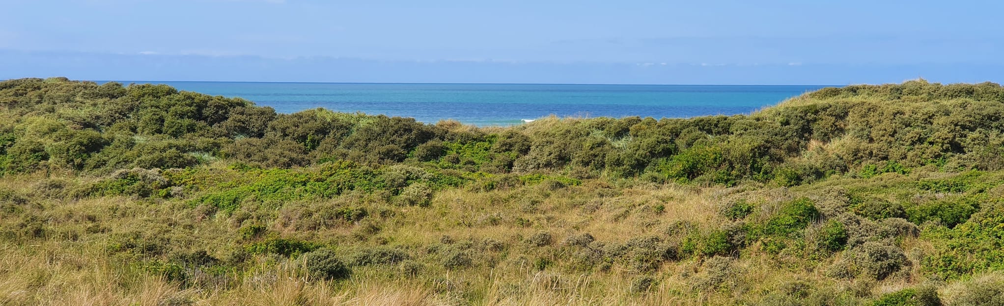 Tversted - Tannis Strand: 6 Fotos - Region Nordjylland, Dänemark ...