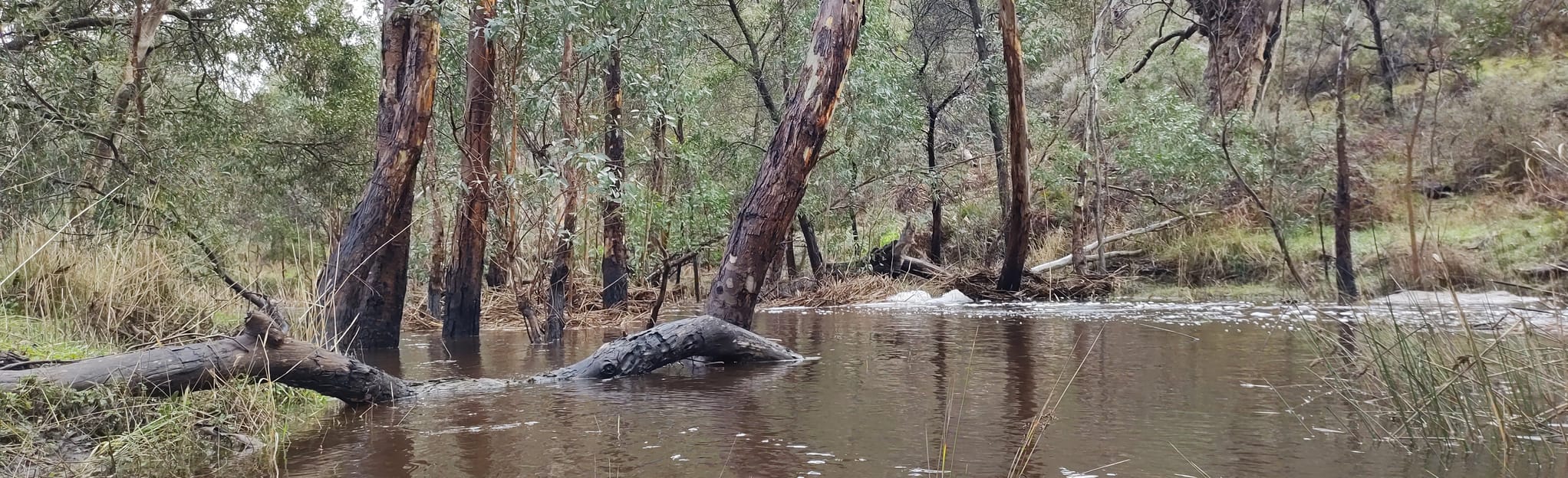 South Para River Loop, South Australia, Australia - 13 Reviews, Map ...