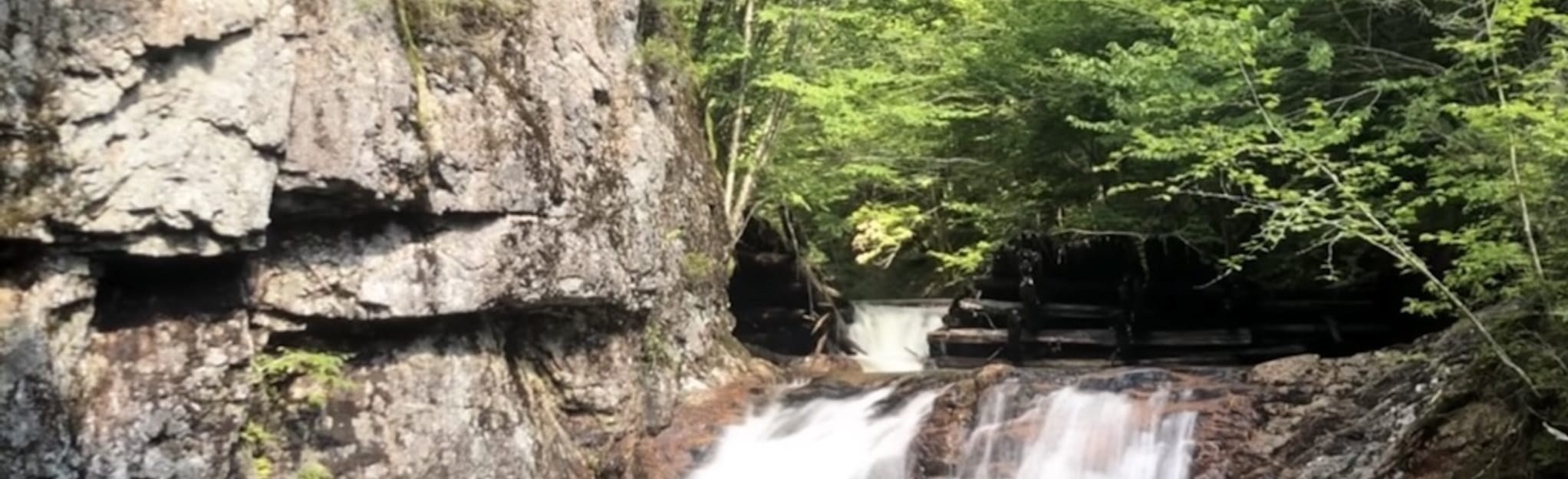 Little Rody Brook, New Brunswick, Canada - 3 Reviews, Map | AllTrails