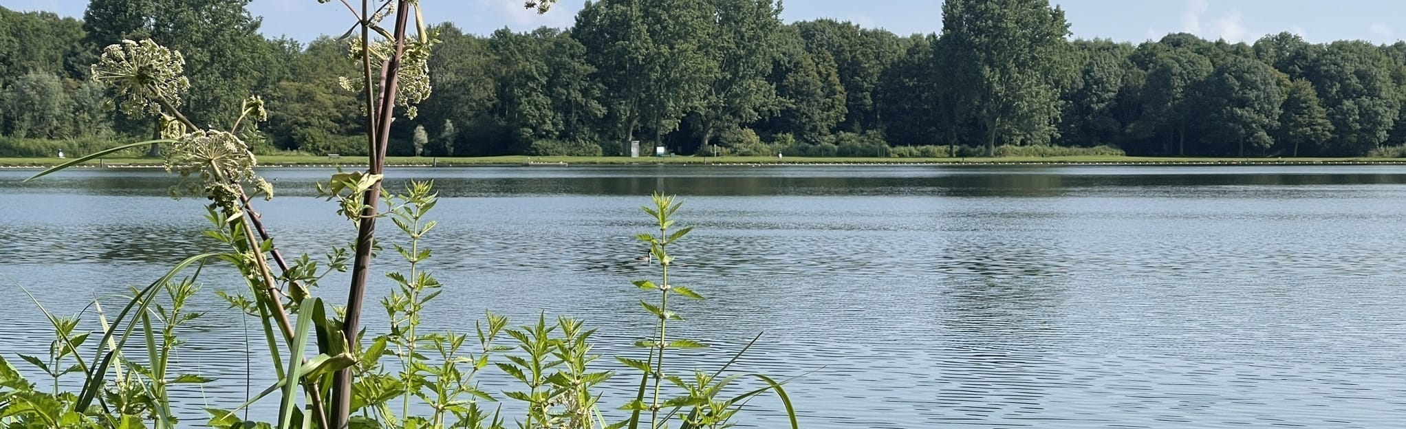 Rondje Grote Plas Delftse Hout, South Holland, Netherlands - 44 Reviews ...