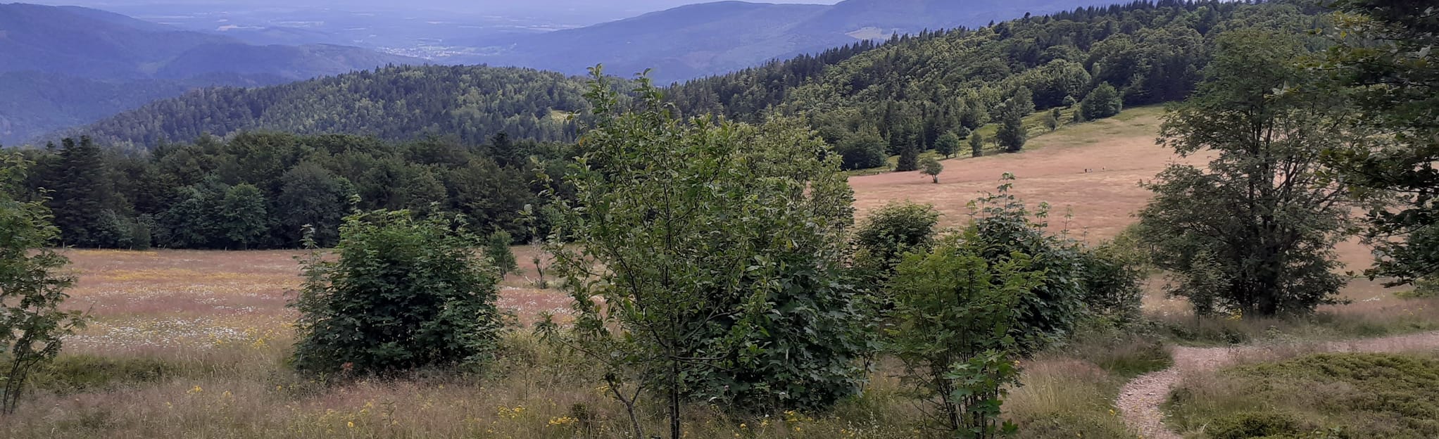 Grand et Petit Neuweiher, Lac des Perches: 17 Reviews, Map - Haut-Rhin ...