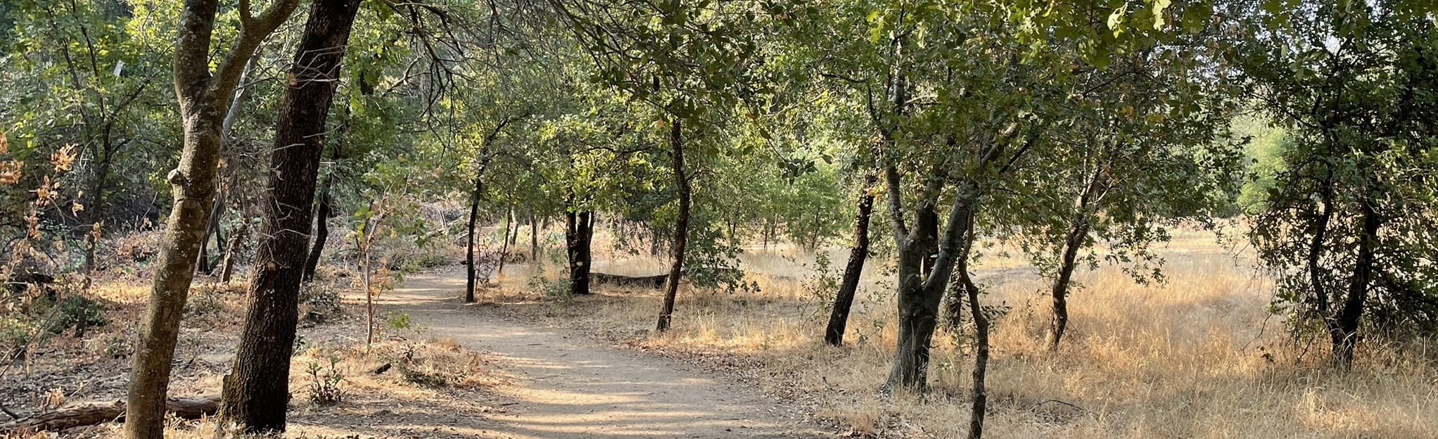 Turtle Bay East Loop, California - 41 Reviews, Map | AllTrails