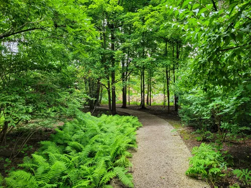 Best Hikes and Trails in Hansen Park | AllTrails