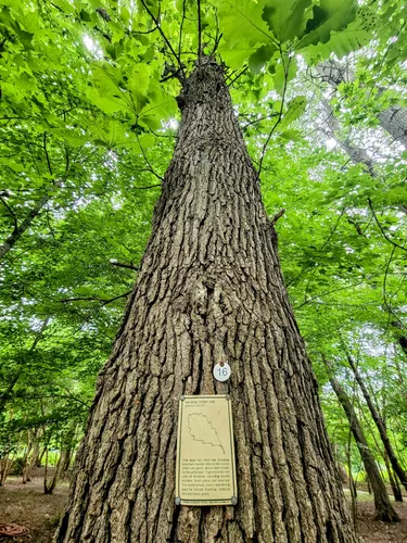 Best Hikes and Trails in Hansen Park | AllTrails