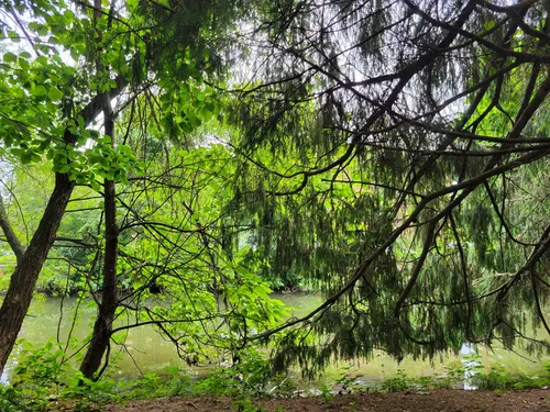 Best Hikes and Trails in Hansen Park | AllTrails