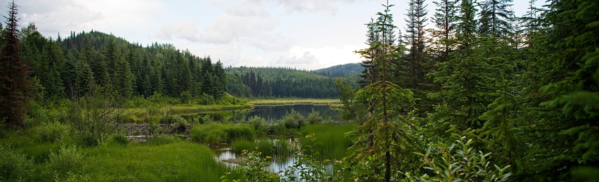 Firth Lake: 6 Photos - British Columbia, Canada | AllTrails