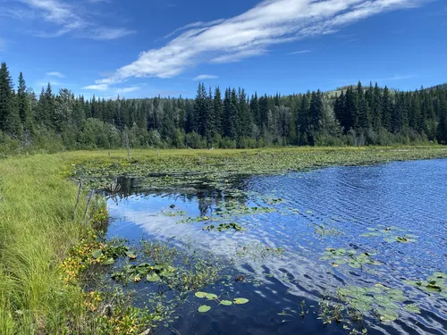 Best Camping Trails in Burns Lake | AllTrails