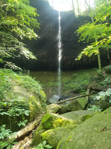 10 Best Moderate Trails in Double Springs | AllTrails