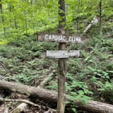 STS (Susquehannock Trail System) Backpacking Loop, Pennsylvania - 62 ...