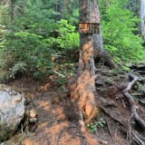 Bisaro Cave via Heiko's Trail, British Columbia, Canada - 69 Reviews ...
