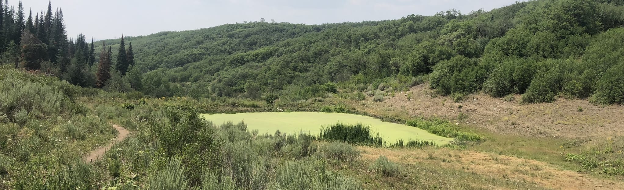 Beall Trail: 20 Reviews, Map - Colorado | AllTrails