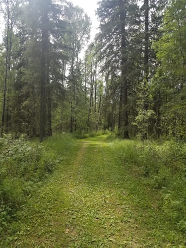 Best Hikes and Trails in Cross Lake Provincial Park | AllTrails